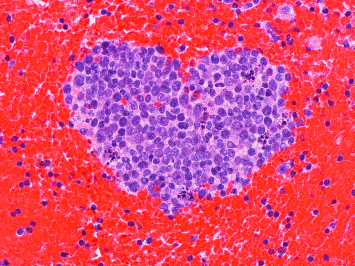 February Image of the Month Winner - BAC