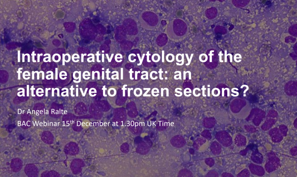 Intraoperative cytology of the female genital tract: - BAC