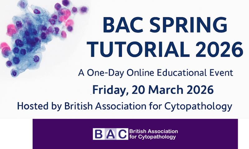 Homepage - BAC